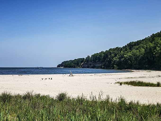 Where the forest meets the bay: Flag Ponds' pristine shoreline offers a peaceful escape from city life, with gentle waves and towering trees creating nature's perfect backdrop.