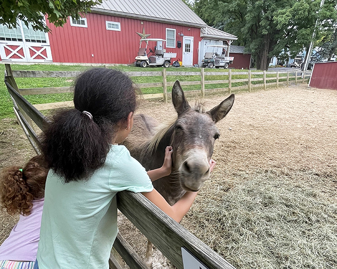 Klein Farms offers more than dairy delights&mdash;friendly farm animals create magical moments against the backdrop of that iconic red barn.