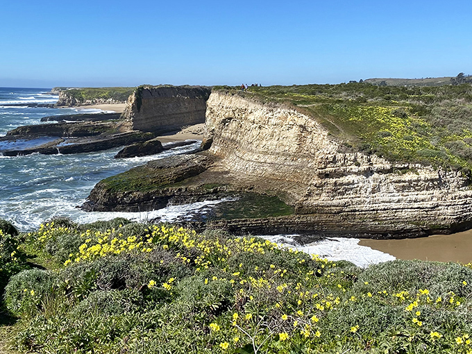Nature's grand architecture on full display at Wilder Ranch. These sandstone cliffs have been perfecting their dramatic poses for millennia.