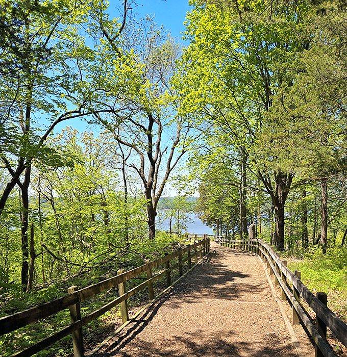 Nature's welcome mat unfurls along this sun-dappled trail, where the Mississippi River peeks through the trees like a shy neighbor wondering if you brought snacks.