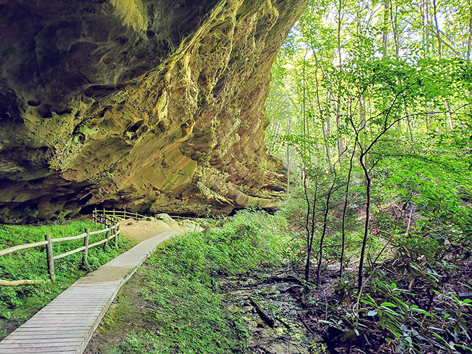 Nature's own masterpiece unfolds where ancient stone meets modern wanderlust in perfect Tennessee harmony.
