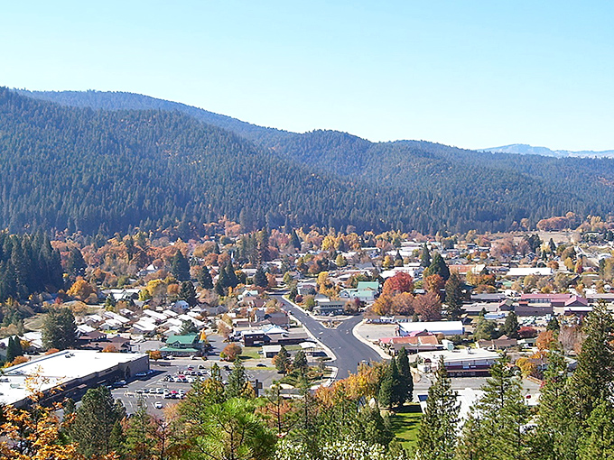 Quincy nestles into the Sierra Nevada like a postcard come to life, where fall foliage creates a patchwork quilt of amber and gold against evergreen sentinels.