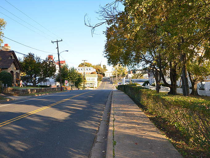 Tree-lined streets and gentle curves welcome you to Warrenton, where time slows down just enough to notice what matters.
