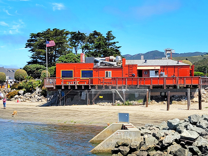 The unmistakable orange beacon of Barbara's Fishtrap stands proudly on stilts over the water, like a delicious mirage for hungry coastal travelers.