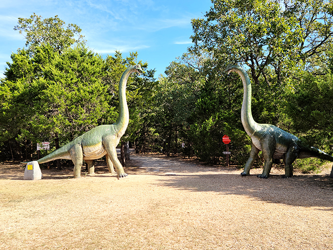 Two gentle giants welcome visitors at the entrance, standing like prehistoric gatekeepers guarding a Jurassic wonderland.