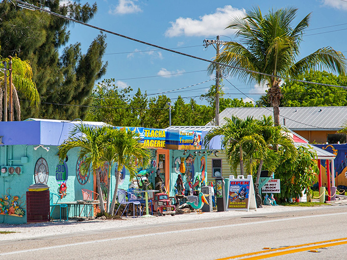 Matlacha's Main Street gives new meaning to "color therapy." The vibrant storefronts create a kaleidoscopic welcome that instantly lifts your mood. 