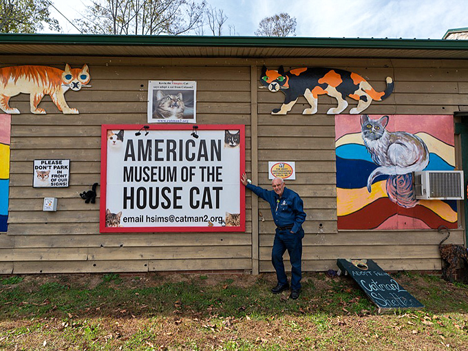 The American Museum of the House Cat might be the most wonderfully specific museum ever. Cat people, you've found your mothership!