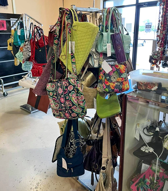 Handbag heaven offers practical storage solutions with style that won't drain retirement funds.