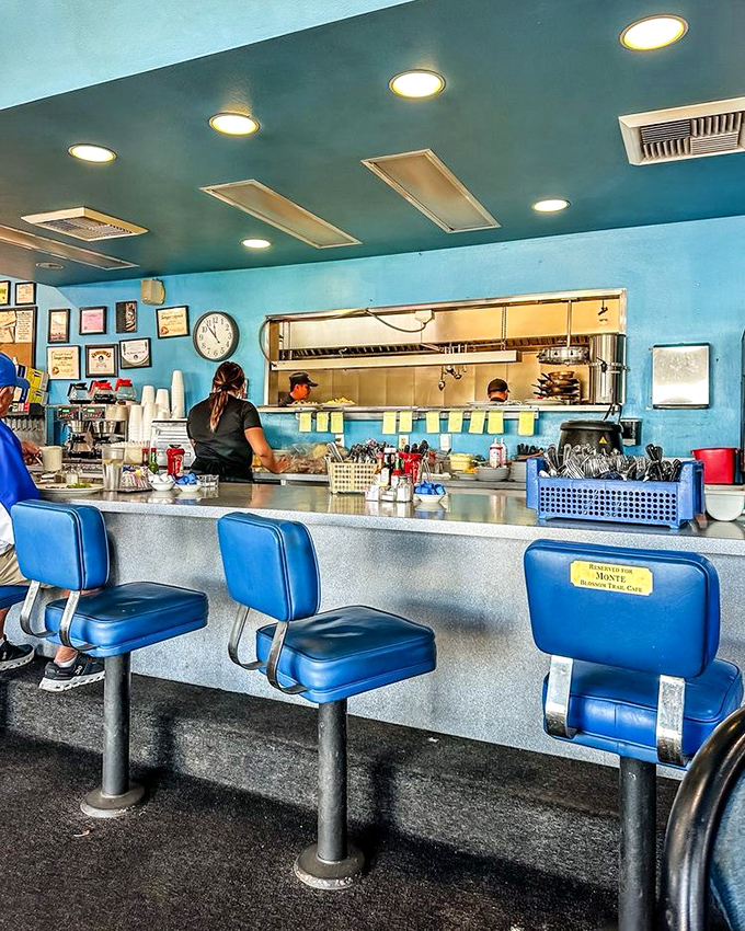 The diner counter&mdash;where breakfast magic happens in full view. Those blue seats have witnessed countless coffee refills and life stories.