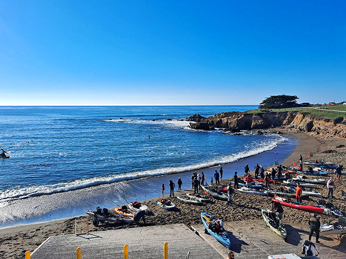 Beach adventurers prepare to launch into the Pacific. In Cambria, kayaking isn't just a sport – it's a front-row ticket to nature's greatest show.