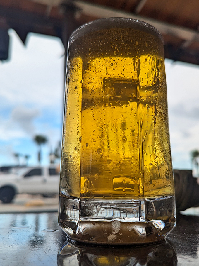 A cold beer catching Florida sunshine through the window&mdash;the perfect companion for barbecue that demands to be taken seriously.