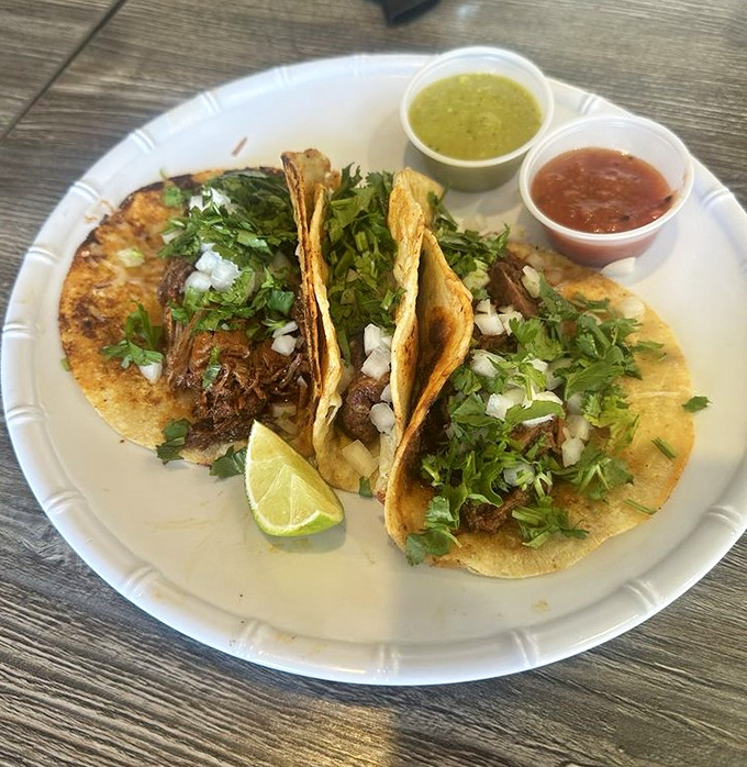 Three tacos standing at attention, flanked by salsa soldiers ready to elevate each bite from delicious to transcendent.
