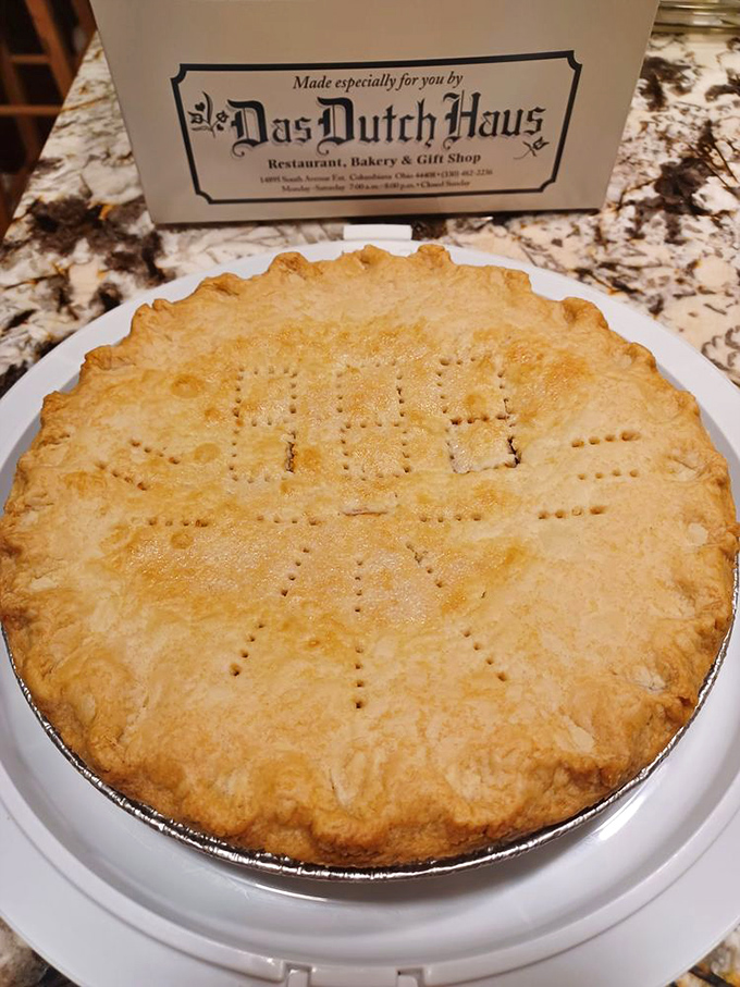 A pie crust crimped with the precision of a Swiss watchmaker. Those steam vents aren't just functional&mdash;they're releasing aromas that trigger childhood memories.