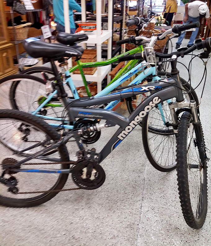 Desert-ready rides at bargain prices—because in Arizona, every day is perfect biking weather for at least fifteen minutes.