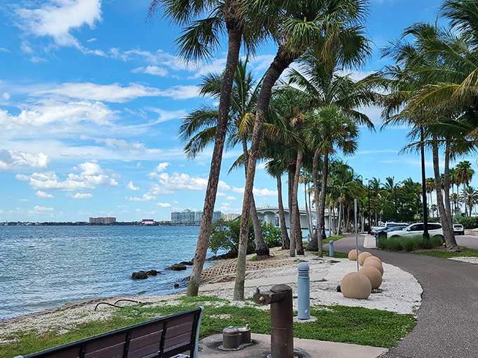 Bird Key Park's shoreline bench offers front-row seats to nature's daily performance &ndash; waves, birds, and the occasional dolphin all working without a script.