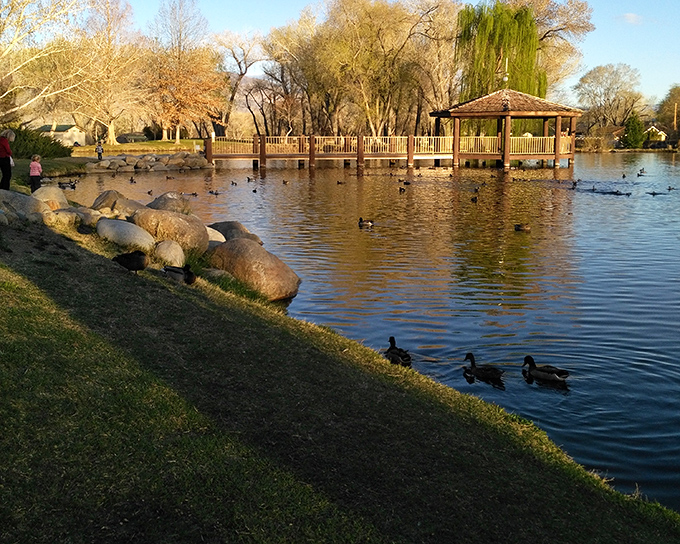 City Park's duck pond and gazebo create that Norman Rockwell scene you didn't know still existed in California. Quack if you're happy.