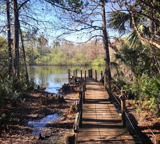 This boardwalk doesn't offer cotton candy or carnival games, just front-row tickets to nature's greatest show. The admission price? Just your attention.