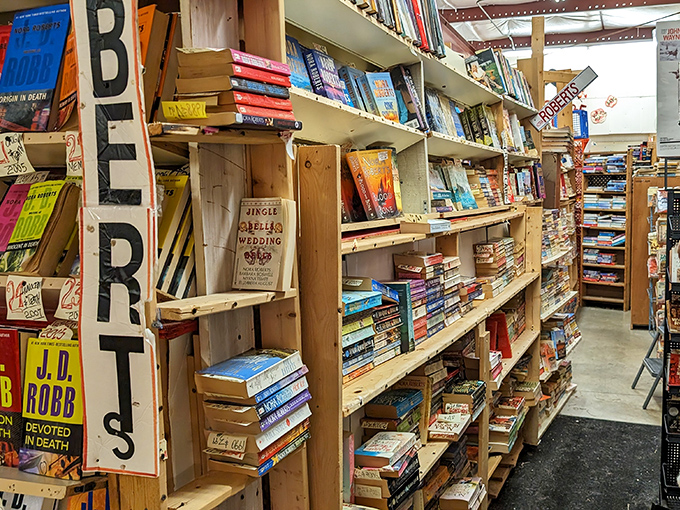 The used book section: where literary treasures hide between dog-eared paperbacks. That familiar old-book smell comes absolutely free with every purchase.