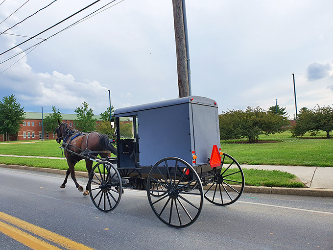 Rush hour, Amish Country style: This sleek buggy might not have Bluetooth connectivity, but it offers something better&mdash;actual connection to the world around you.