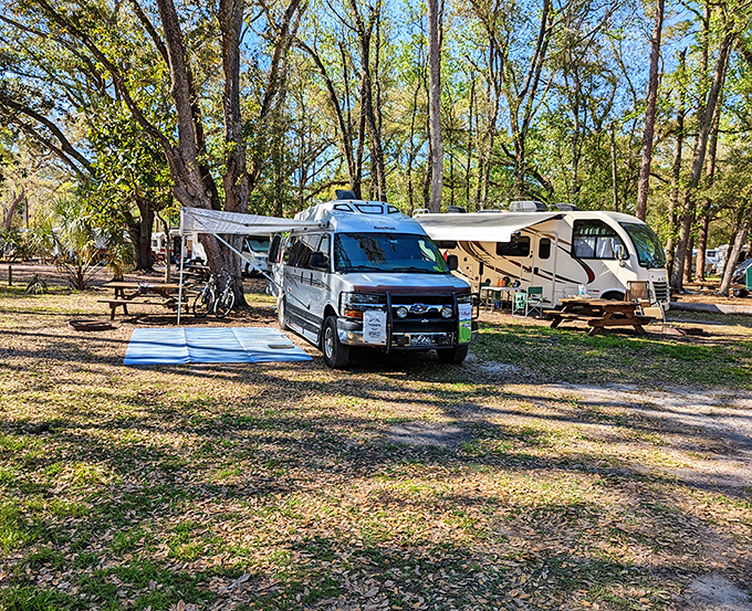 Campground sites nestled among trees older than your great-grandmother's favorite recipes.
