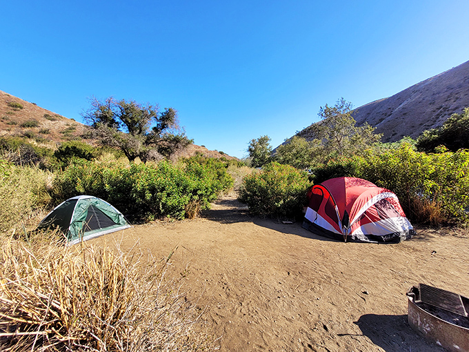 Camping among the coastal sage &ndash; where tent neighbors are jackrabbits and the alarm clock is the morning light filtering through sycamores. 