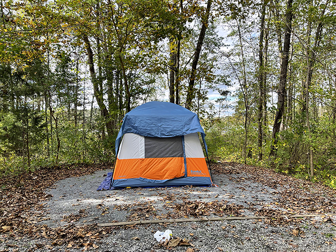 Home sweet temporary home. This tent represents the ultimate social media detox&mdash;where notifications come from owls and the only feed is campfire s'mores.