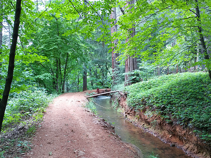 The Cascade Canal Trail offers a shaded escape alongside historic waterways. This engineering marvel now serves as a peaceful path through verdant forest.