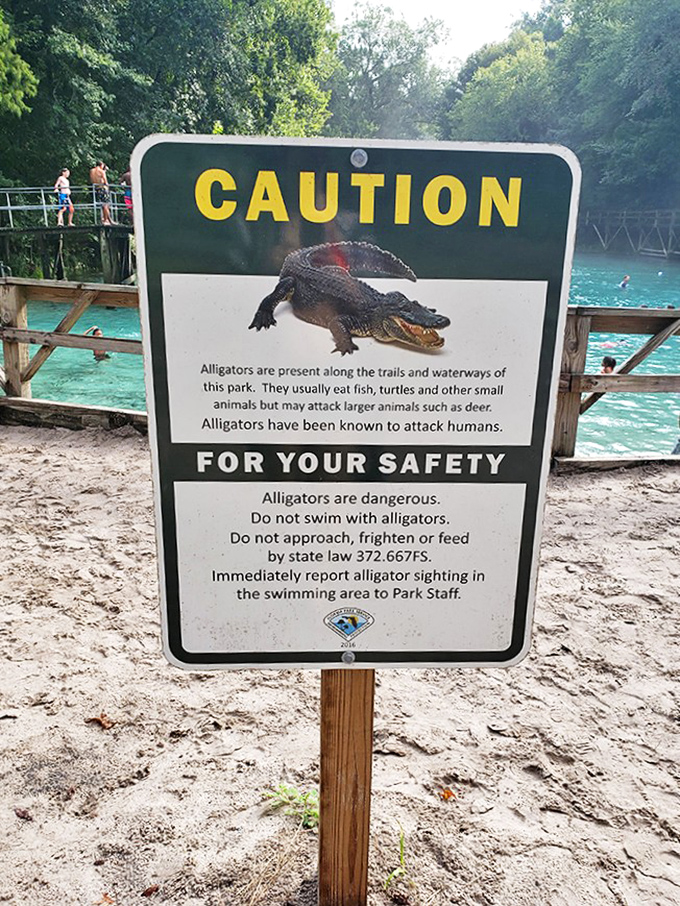 Florida's version of "Beware of Dog" signs. These residents have been here longer than any of us and aren't keen on sharing lunch.