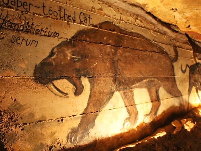 Ancient cave art depicting a saber-toothed cat reminds us that long before Instagram, humans were still documenting their wildlife encounters.