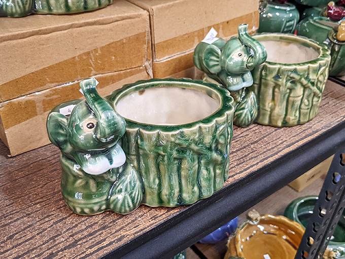 Ceramic elephant planters prove that quirky home d&eacute;cor doesn't have to cost mammoth-sized money anymore.