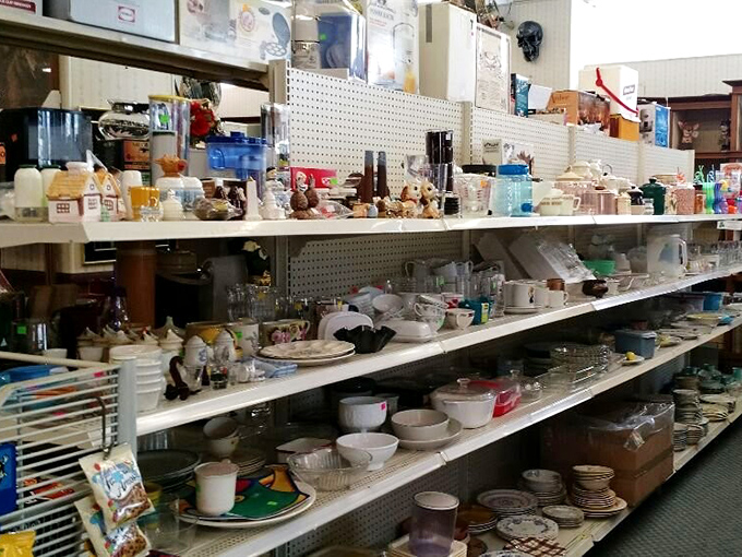 Mismatched dishes and forgotten figurines create a domestic archaeological dig where someone's discarded wedding gift becomes your quirky conversation piece.