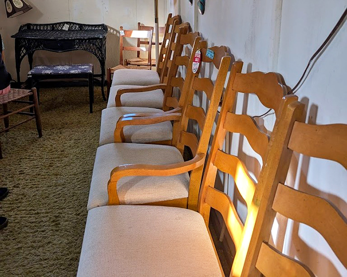 A lineup of dining chairs awaits their next dinner party. They've witnessed decades of holiday meals and "pass the potatoes" requests.