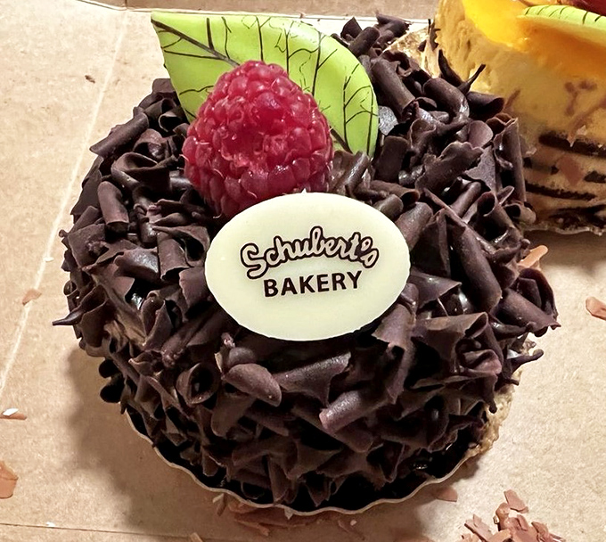 Chocolate mousse cake adorned with fresh raspberry, proving that some relationships are simply meant to be.