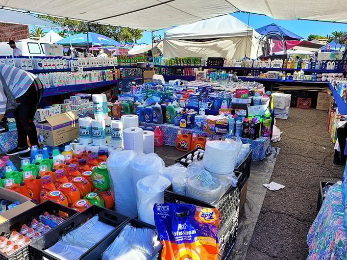 The household essentials aisle puts big box stores to shame with its rainbow of cleaning products and paper goods.
