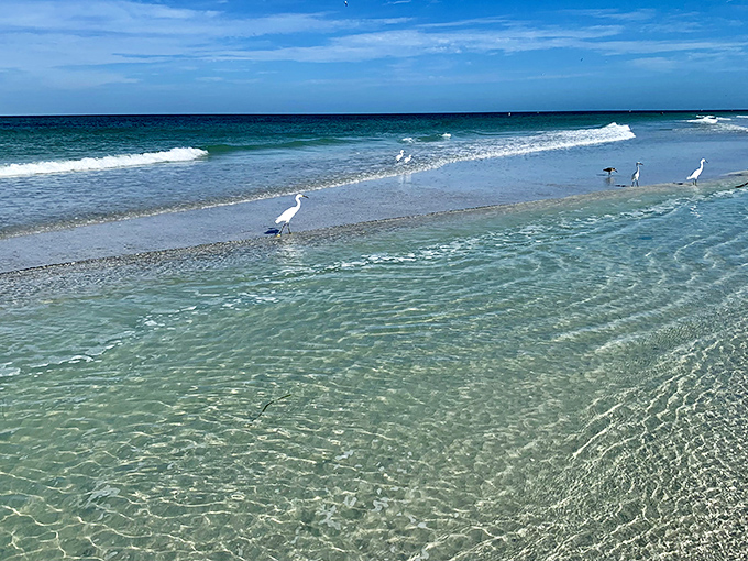 Water so clear you can see your questionable pedicure choices from last month's discount salon.