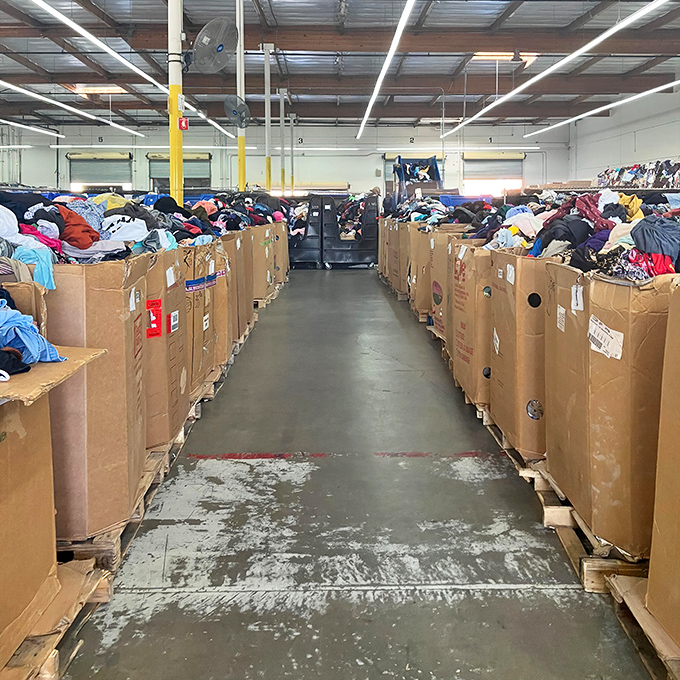 Fresh arrivals in cardboard bins await sorting, each box a mystery package of donated possibilities.