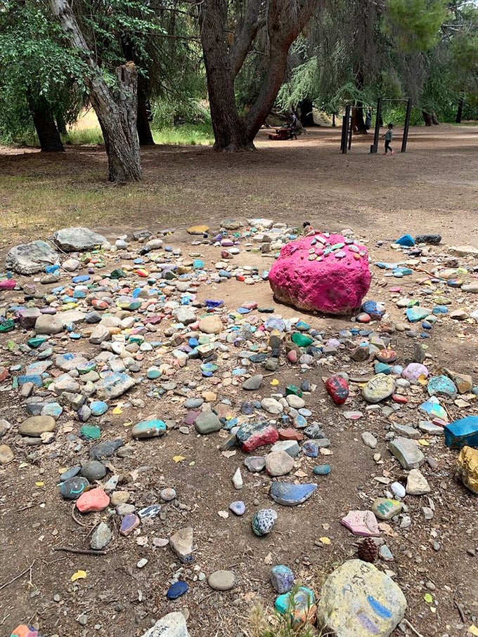 The happiest rocks on earth &ndash; a kaleidoscope of painted stones creating an impromptu art installation where nature meets human creativity.