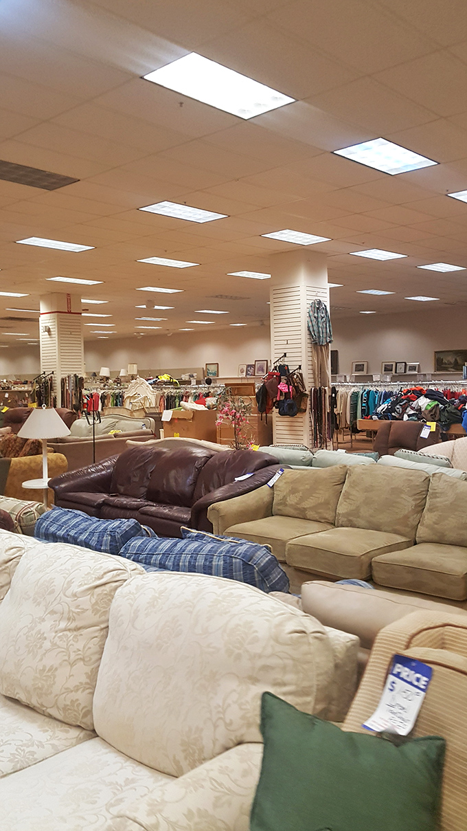 Sofa city, population: endless possibilities. That cream brocade number would look perfect in your living room &ndash; just saying.