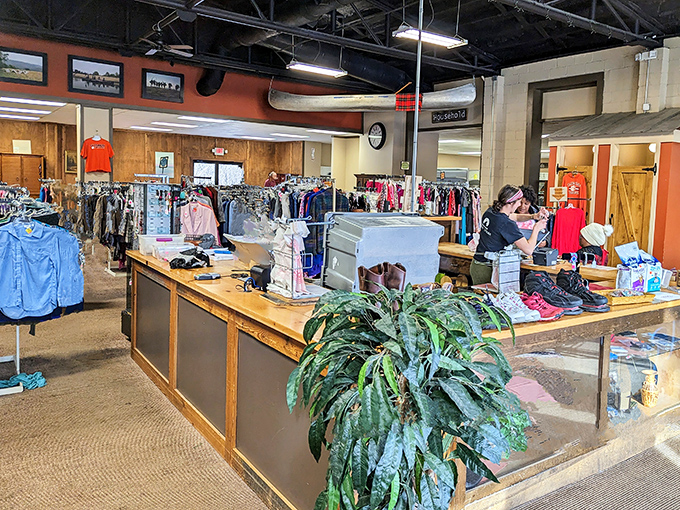 Command central, where treasures are tallied and bargains become official. The plant adds a touch of "we're not just a store, we're an experience."
