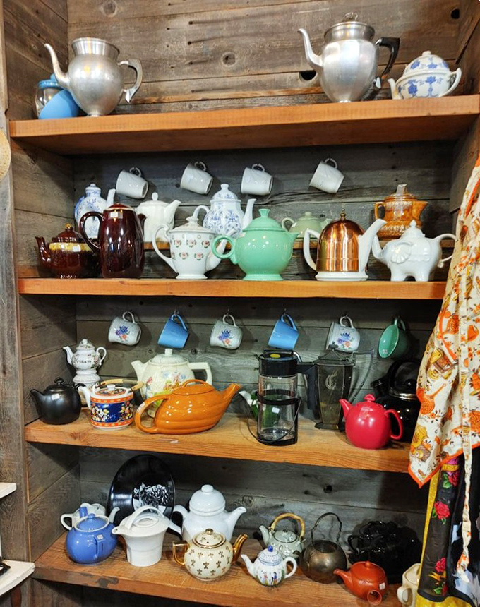 Teapot paradise! From dainty porcelain to sturdy stoneware, each pot whispers promises of perfect brews and afternoon conversations.