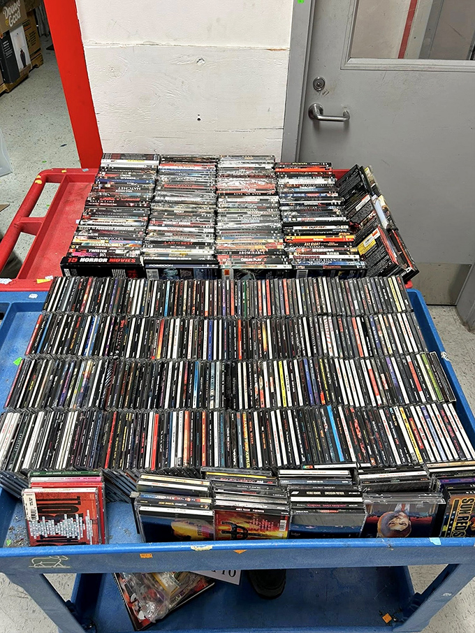 The media section: a time capsule of entertainment history where forgotten favorites and cult classics find new audiences for pocket change.