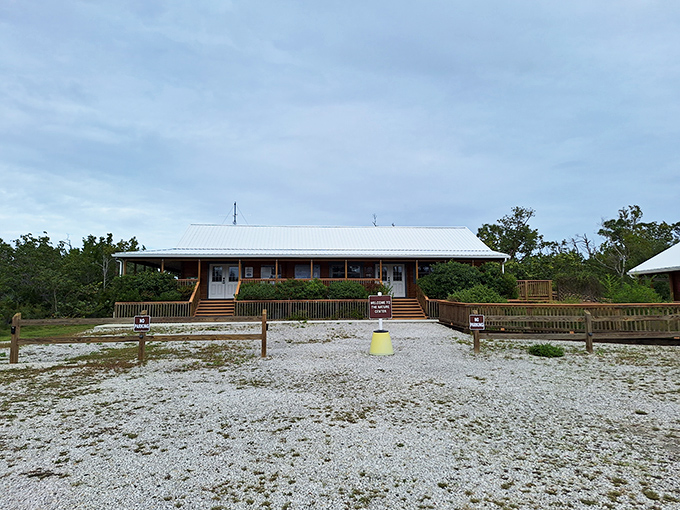 This unassuming building houses stories of the tiny Key deer&mdash;proof that Florida's most charming residents aren't all retirees from Ohio.