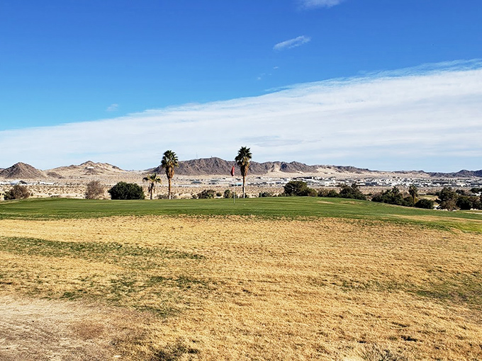 Desert Winds Golf Course proves grass can thrive anywhere with enough determination, just like the retirees who play here.