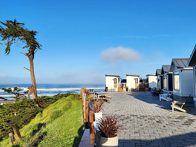 Tiny houses with million-dollar views. These oceanfront cottages prove that sometimes the best things come in small, perfectly positioned packages.