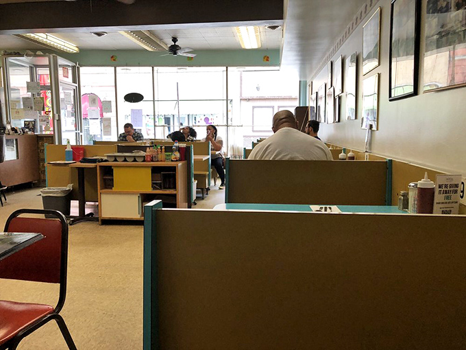 The dining room buzzes with the comfortable energy of people who've discovered something truly special.