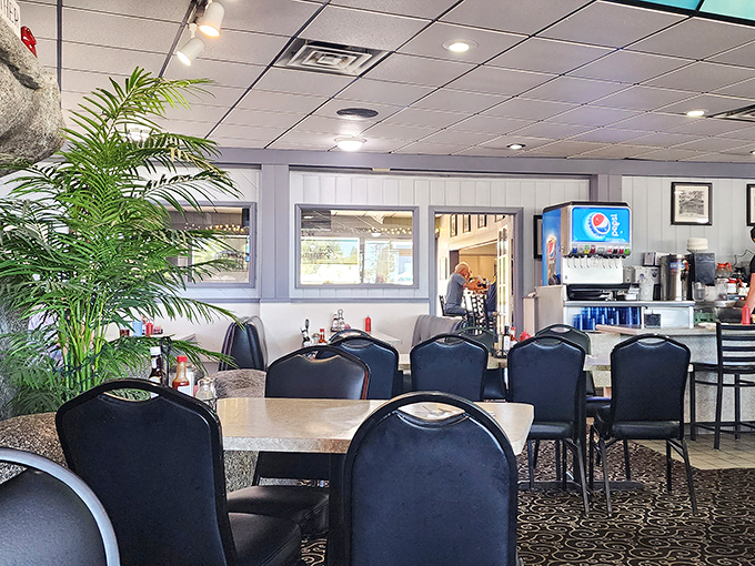 Potted plants and comfortable seating create that "second living room" feel where regulars become family and first-timers become regulars.