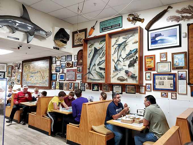 Locals know the best conversations happen in booths beneath mounted fish, where stories flow as freely as the tartar sauce.