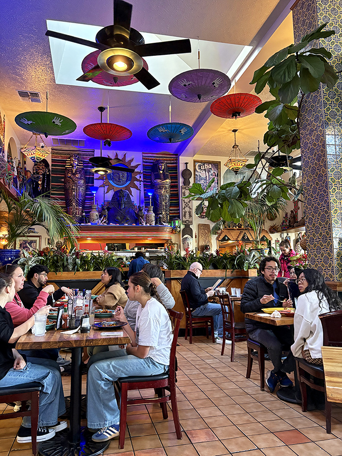 Where food meets community under a canopy of colorful parasols. Tower Caf&eacute;'s dining room buzzes with the energy of happy eaters enjoying global flavors.