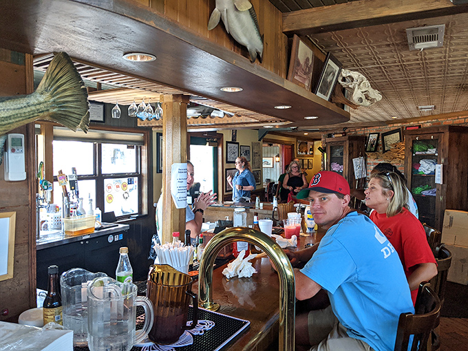 The bar's mounted fish seem to be saying, "You made the right choice coming here," while patrons nod in satisfied agreement.
