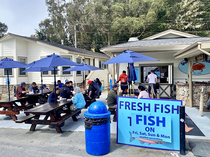 The blue umbrellas create an impromptu dining room where strangers become friends, united by the universal language of exceptional seafood.